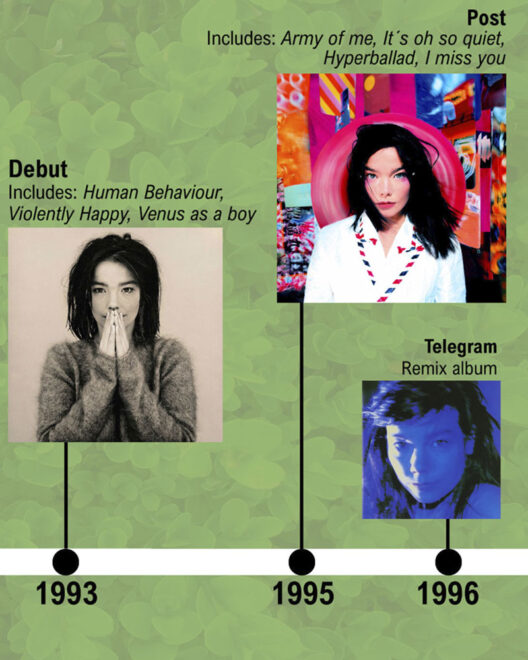 The history of Björk: from the Sugarcubes to solo artist - Music Data Blog
